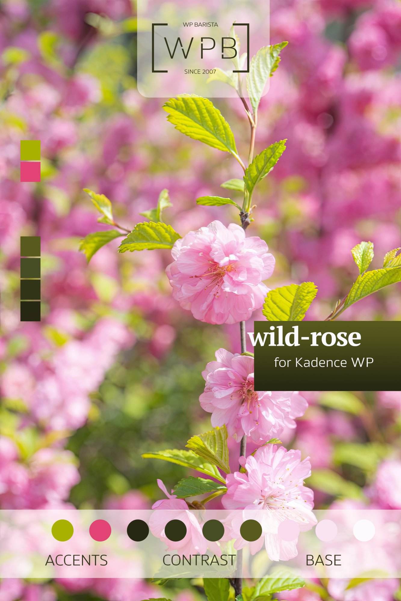 How to Use Kadence Color Palette: Free Templates Included